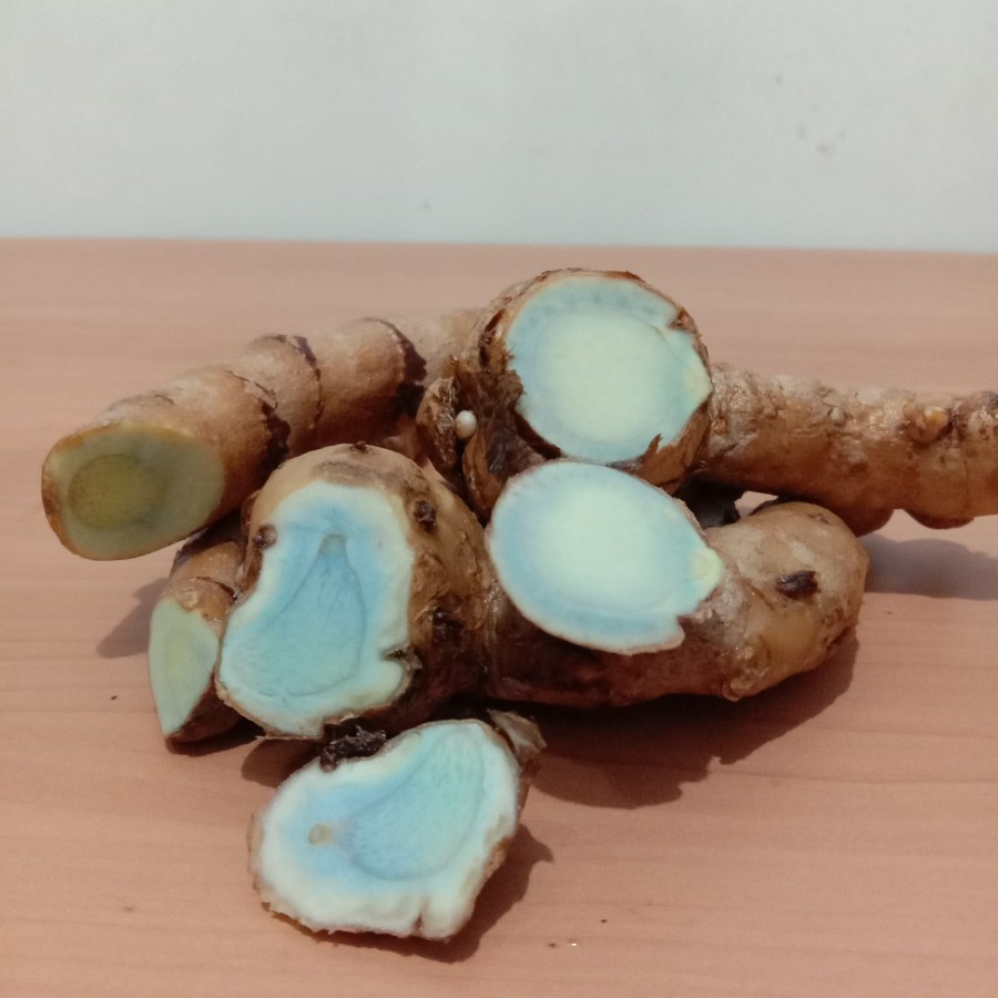 Jual TEMU HITAM , K HITAM / Temu Ireng / Curcuma aeruginosa | Shopee ...