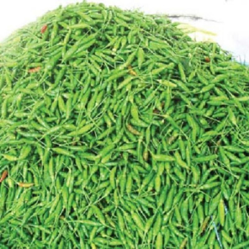 Jual Cabe Rawit Ijo extra Pedas 1kg | Shopee Indonesia