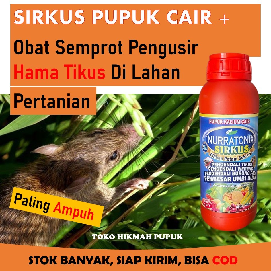 Jual COD NURRATONIX SIRKUS PENGUSIR TIKUS - Obat Semprot Pengusir Hama ...
