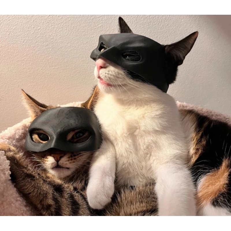 Jual Topeng Kucing - Cat mask - Topeng Kucing Batman | Shopee Indonesia