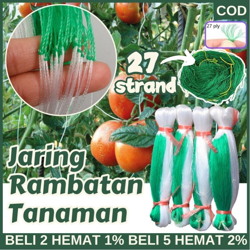 Jual LYTTE Jaring Tanaman Rambatan 100M X 2M Jaring Merambat Kuat Buah Anggur Sayuran Plant ...