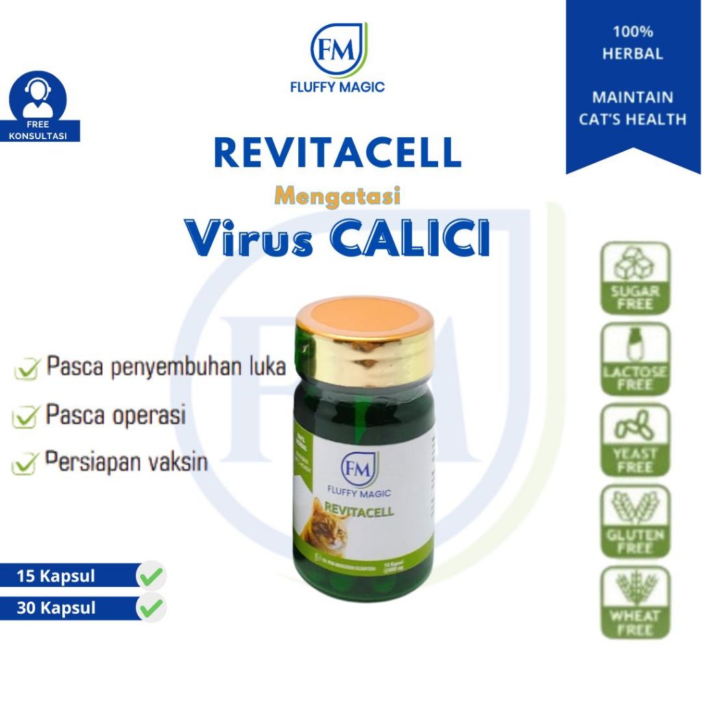 Jual Fluffy Magic Revitacell Obat Virus Calici Kucing Terbaik Terampuh ...