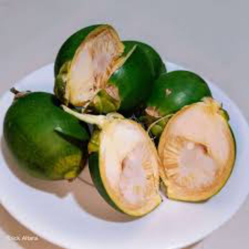 Jual pinang muda 1kg | Shopee Indonesia