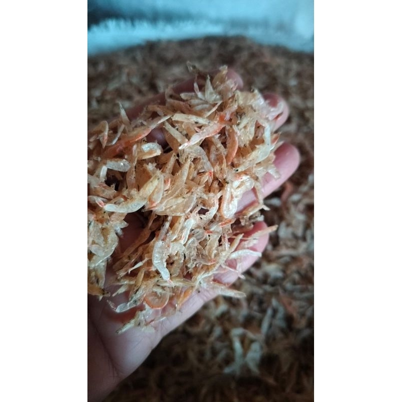Jual udang rebon/germut/ebi kering 1kg murah ikan asin | Shopee Indonesia