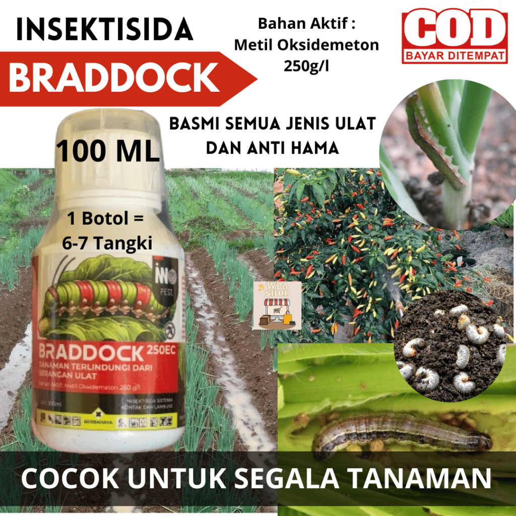Jual BRADDOCK, insektisida braddock, PESTISIDA INSEKTISIDA OBAT HAMA ...