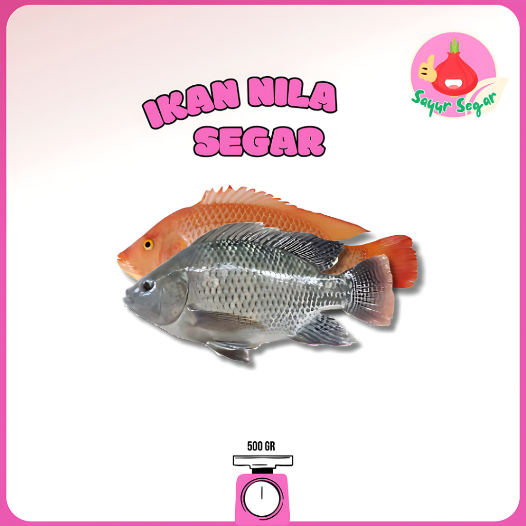 Jual Sayur Segar - Ikan Nila Segar/Nile Tilapia 500 gr | Shopee Indonesia