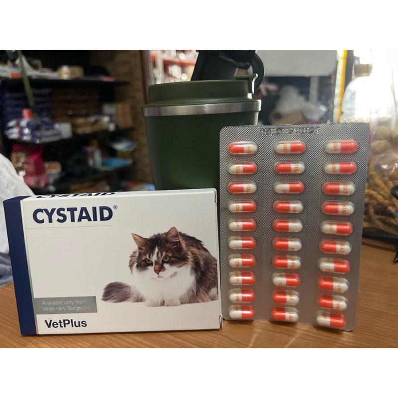Jual CYSTAID PLUS CAT PER CAPSUL - Suplemen saluran kemih untuk kucing ...