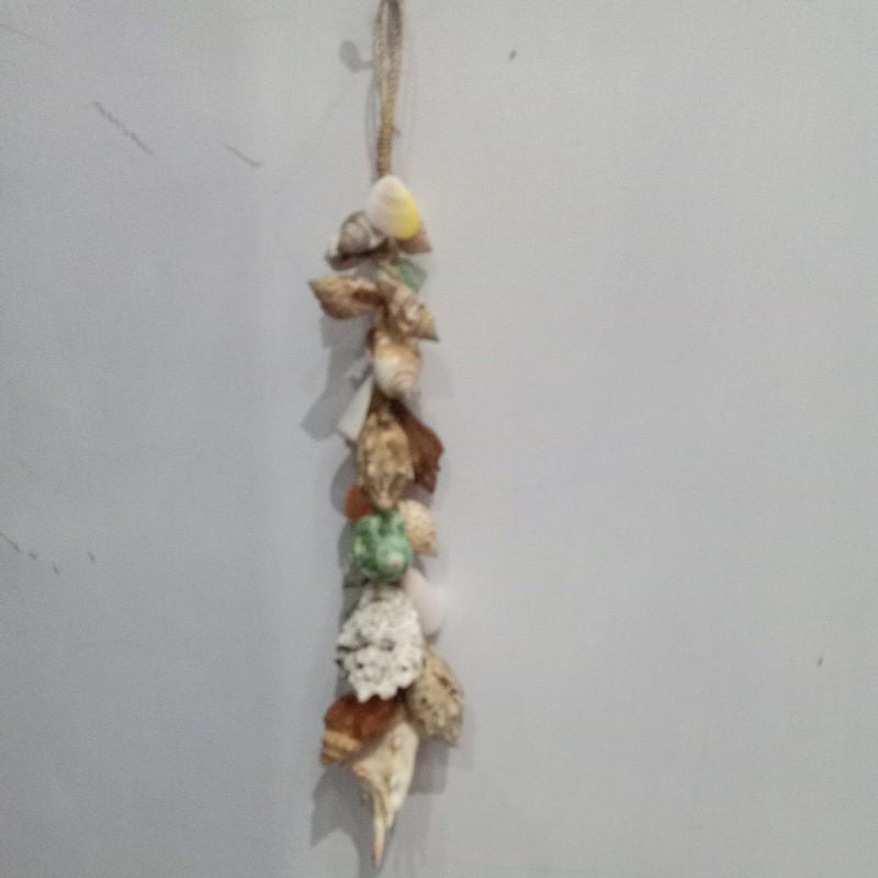 Jual HIASAN BUAH Cangkang kerang | Shopee Indonesia
