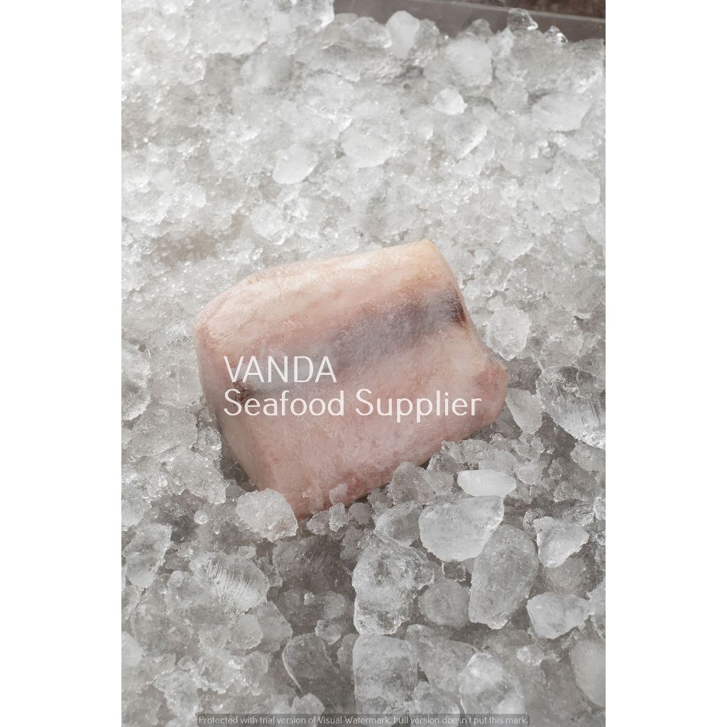 Jual Ikan Gabus Laut Fillet Frozen | Shopee Indonesia