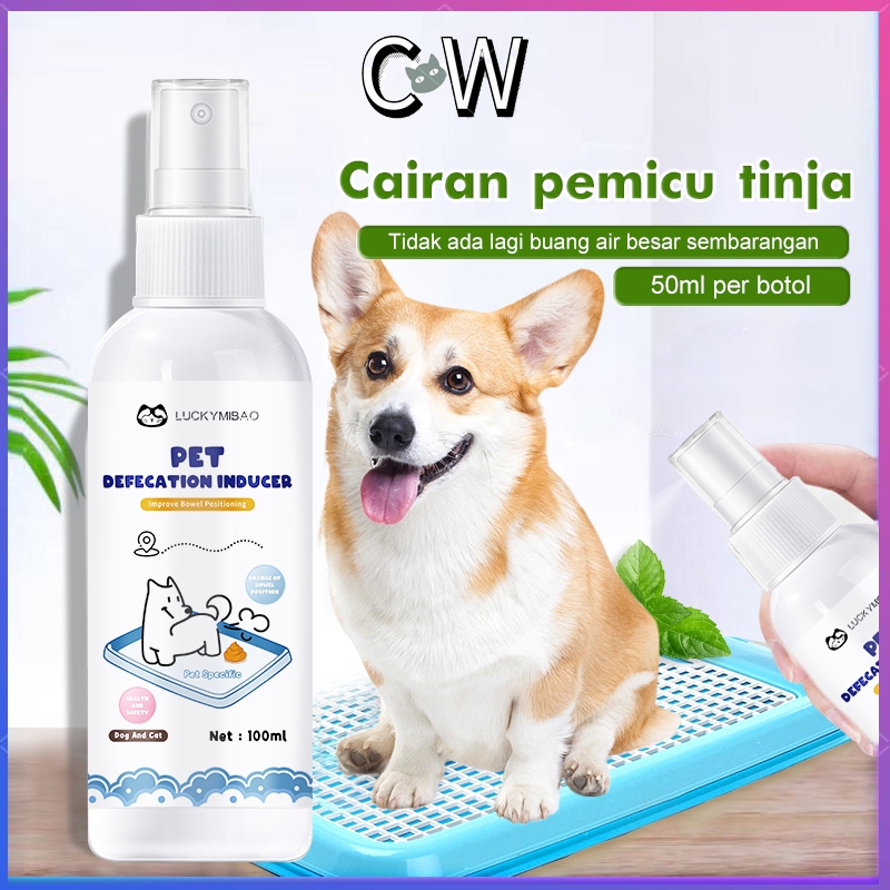 Jual Toilet Anjing Dog Toilet Tempat Pipis Anjing Melatih anjing untuk ...