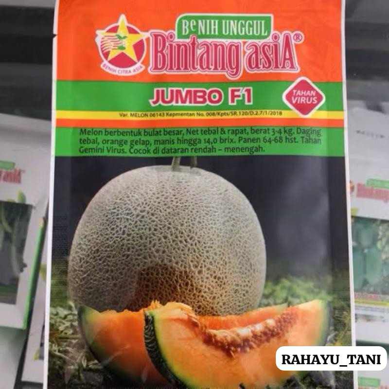 Jual Benih Bibit Melon Orange JUMBO F1 20 gram bintang asia | Shopee ...