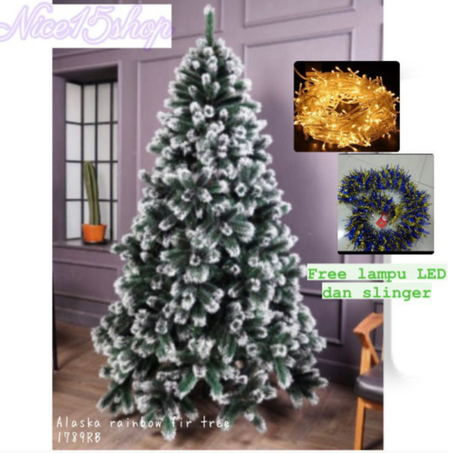 Jual POHON NATAL ALASKA RAINBOW FIR TREE 2FT/60cm 1789RB | Shopee Indonesia