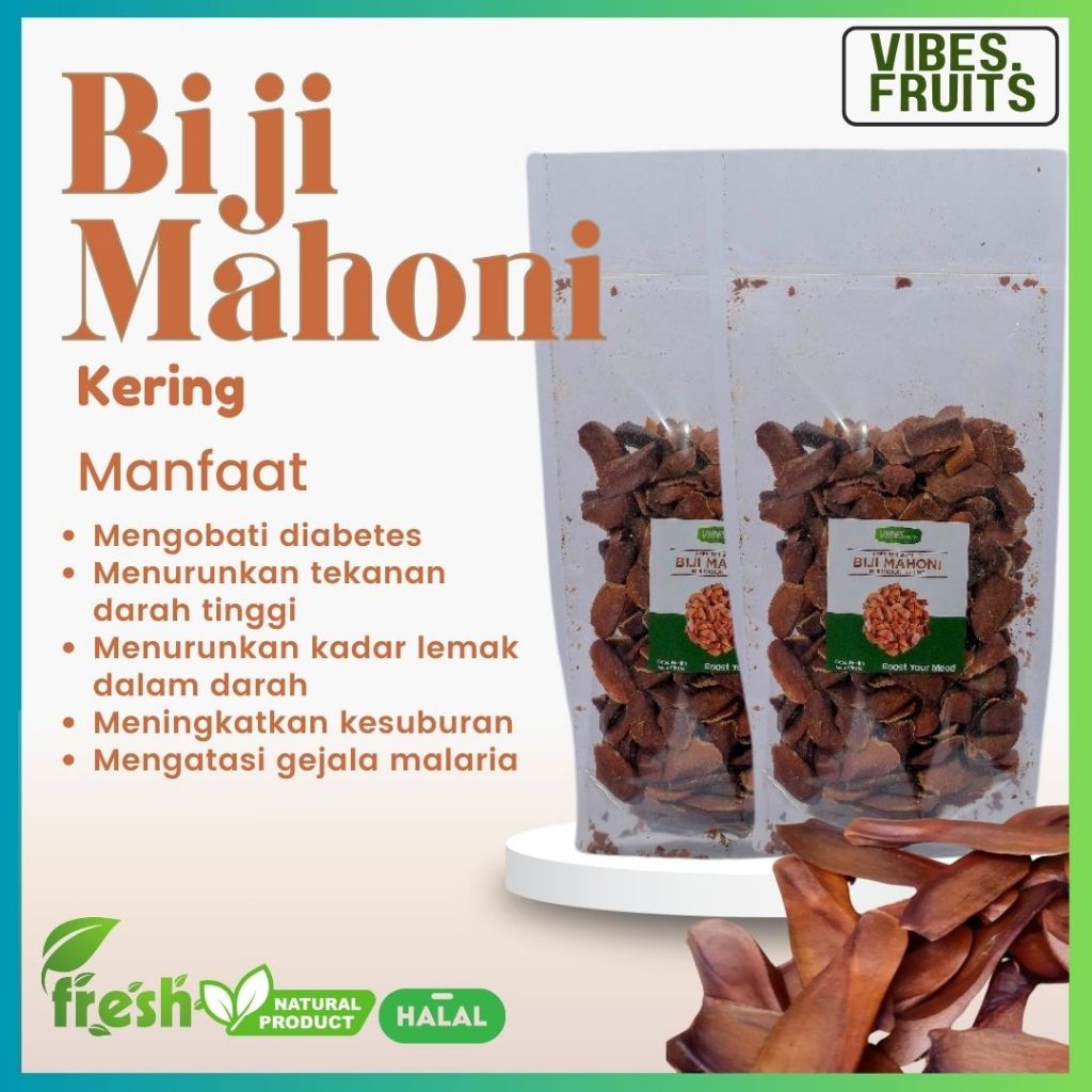 Jual Biji Mahoni Kering Premium / Mahogany Seeds | Shopee Indonesia