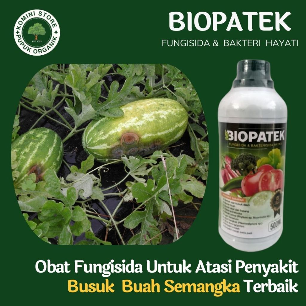 Jual BIOPATEK 500ML Pupuk semprot anti penyakit busuk buah pada ...