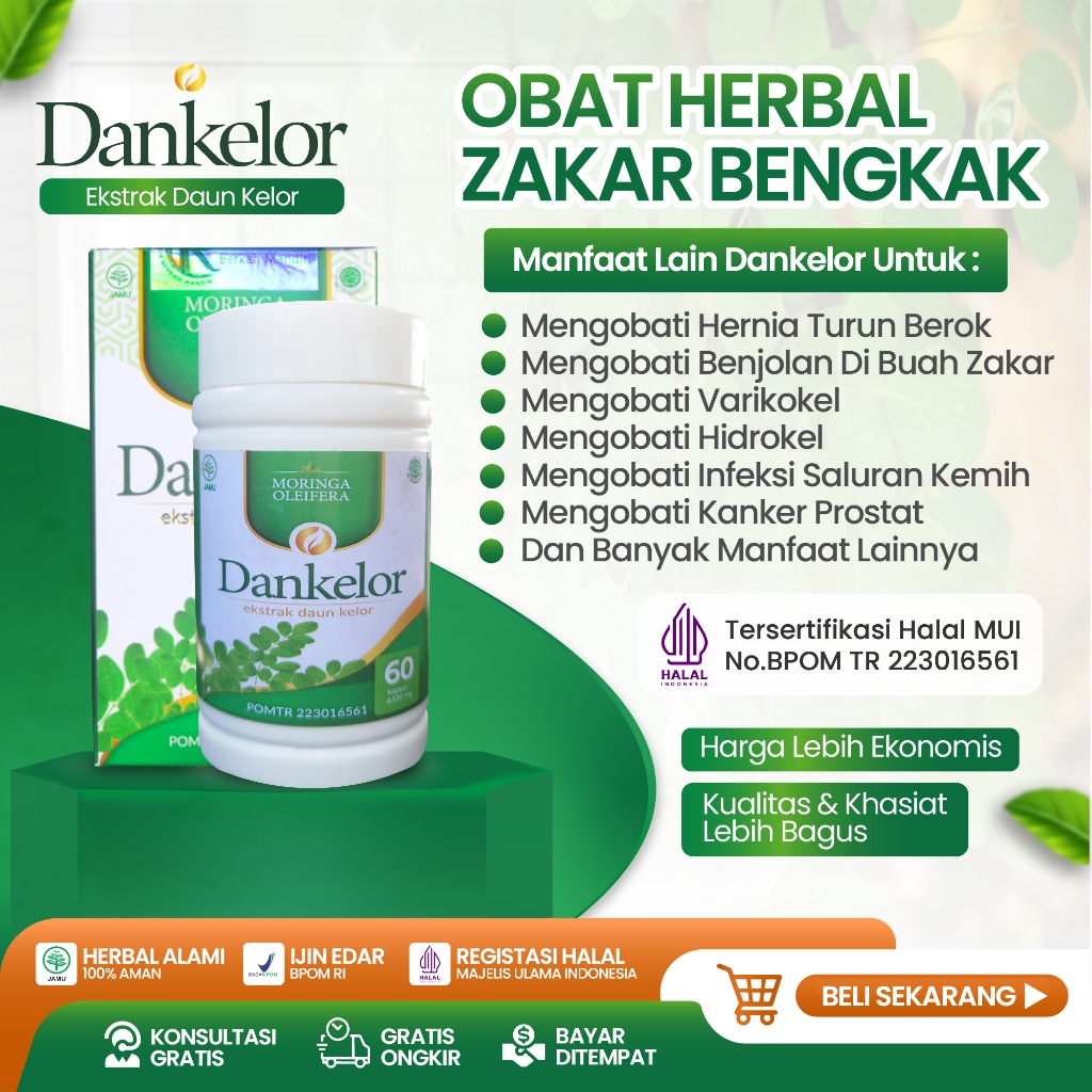 Jual Obat Buah Zakar Bengkak Orchitis Benjolan Di Kantong Buah Zakar ...