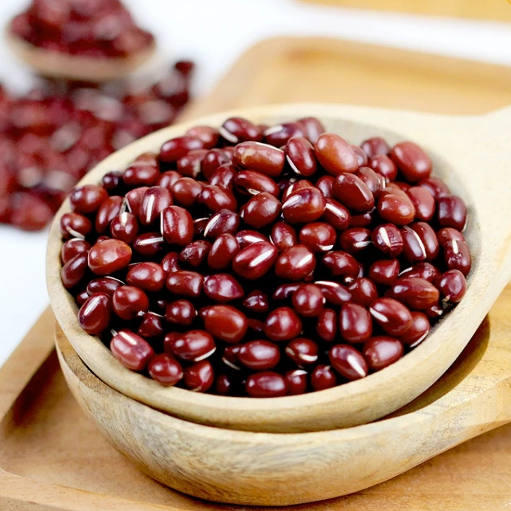 Jual Azuki Red Bean Kacang Merah Jepang Repack 100gr | Shopee Indonesia