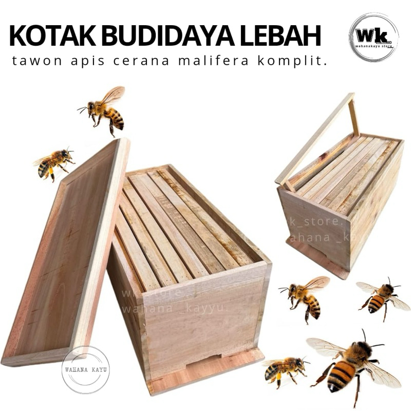 Jual kotak budidaya lebah apis cerana kayu mahoni | Shopee Indonesia