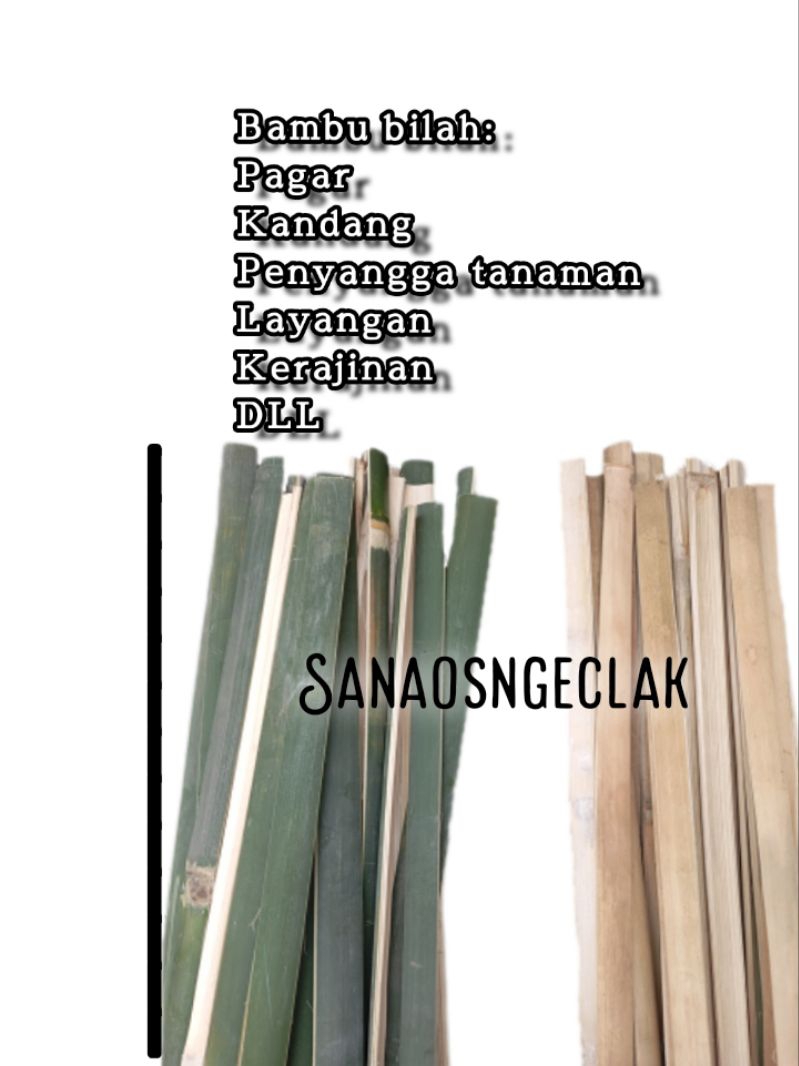 Jual Bambu bilah belah variasi ukuran 20cm-100cm per batang /kandang ...