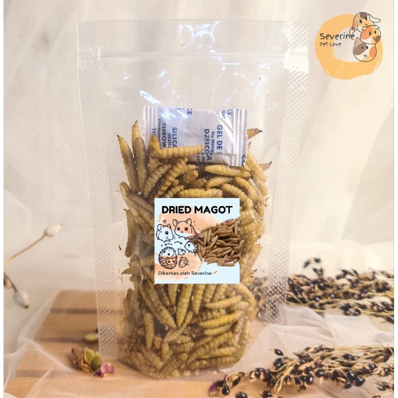 Jual 10gr Magot kering Maggot dried BSF Larvae pakan landak mini chana ...