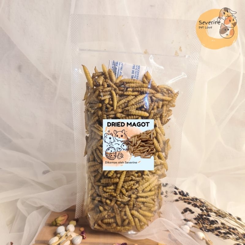 Jual 30gr dried Magot maggot kering BSf larvae snack hamster sugar ...