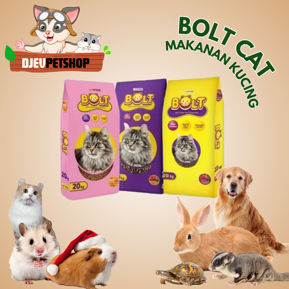 Jual DJEVPETSHOP Bolt Cat 800 Gr Makanan Kucing Dewasa Tuna Ungu Donat ...