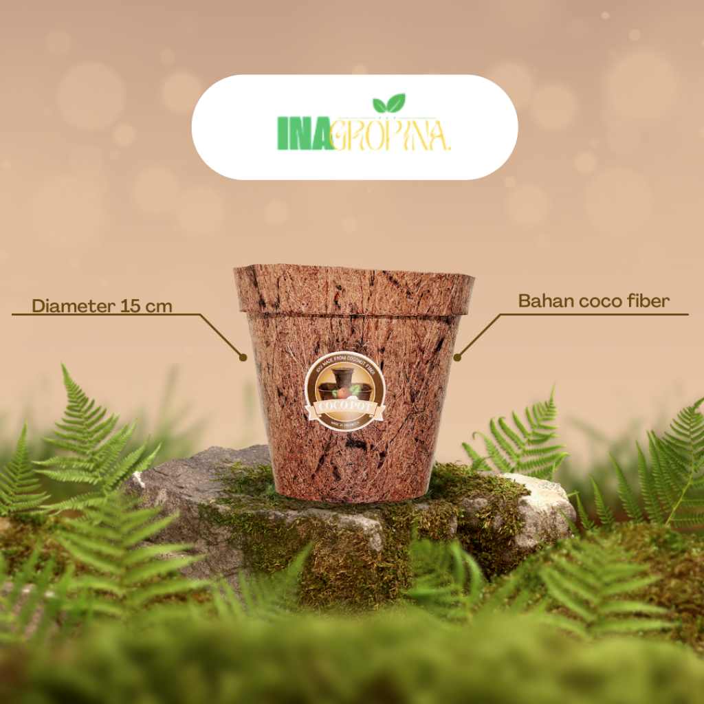 Jual COCOPOT - Cocofiber POT | POT Tanaman | POT Sabut Kelapa | Size 15 ...