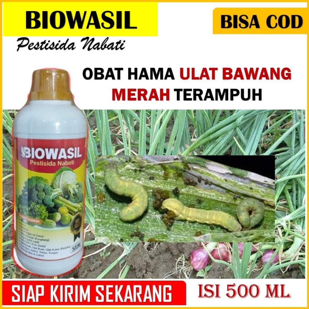 Jual (PROMO MURAH) PESTISIDA NABATI BIOWASIL 500 ML obat hama ulat bawang merah terbaik - obat ...