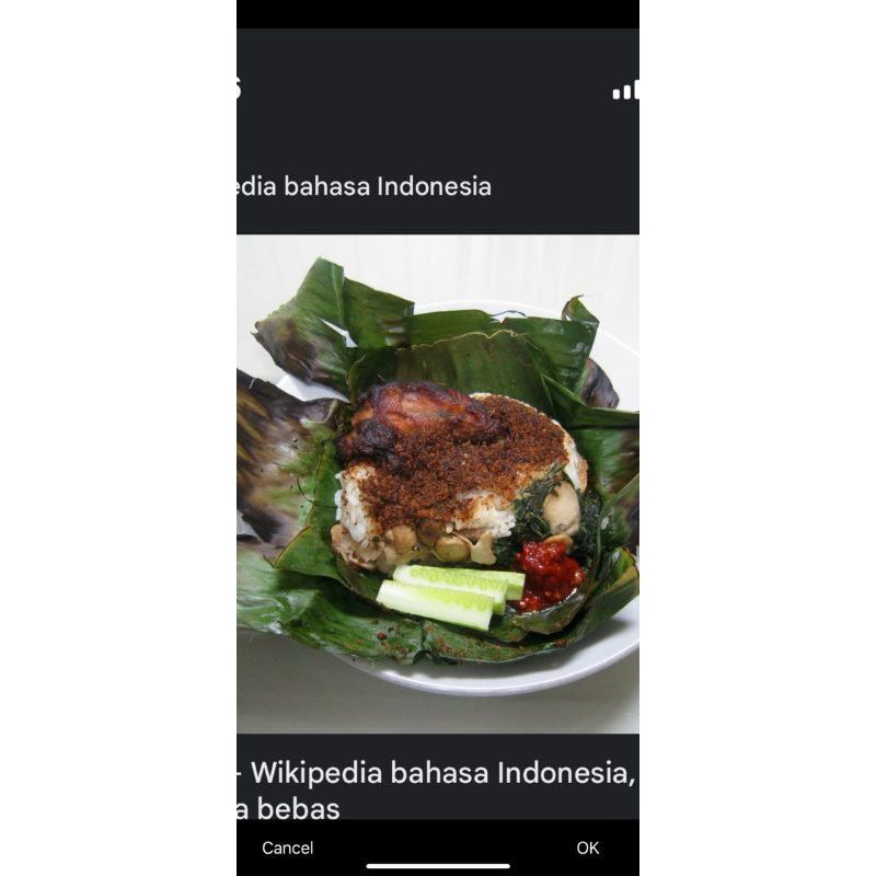 Jual NASI BAKAR komplit dengan ayam BY ROTICOKLATKUEXPRESS ( isi cumi dan ayam ) | Shopee Indonesia