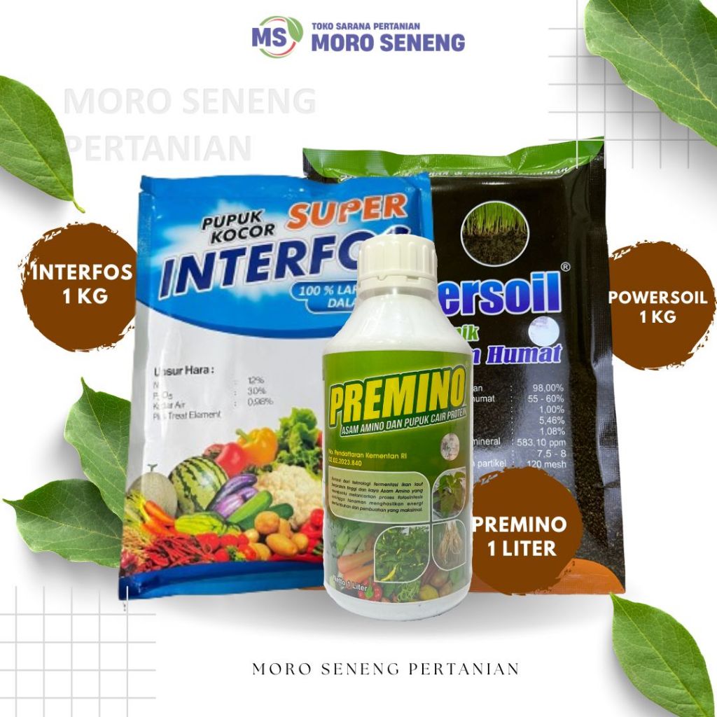 Jual PAKET HEMAT KOCOR MASA VEGETATIF | Shopee Indonesia