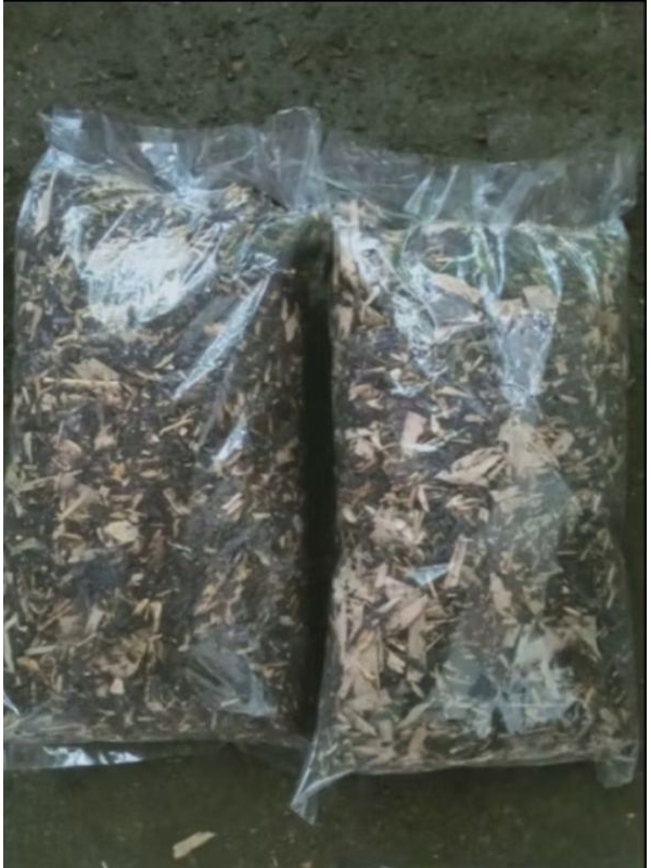 Jual media tanam siap pakai kemasan plastik 1kg | Shopee Indonesia