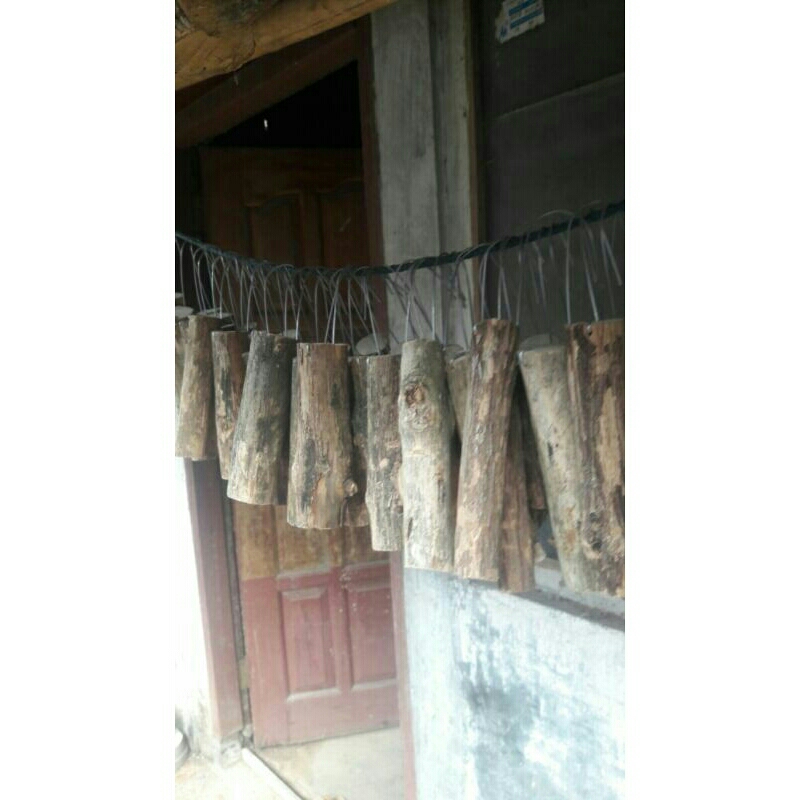 Jual pot anggrek murah/kayu kopi/cantolan kayu kopi P15cm | Shopee ...