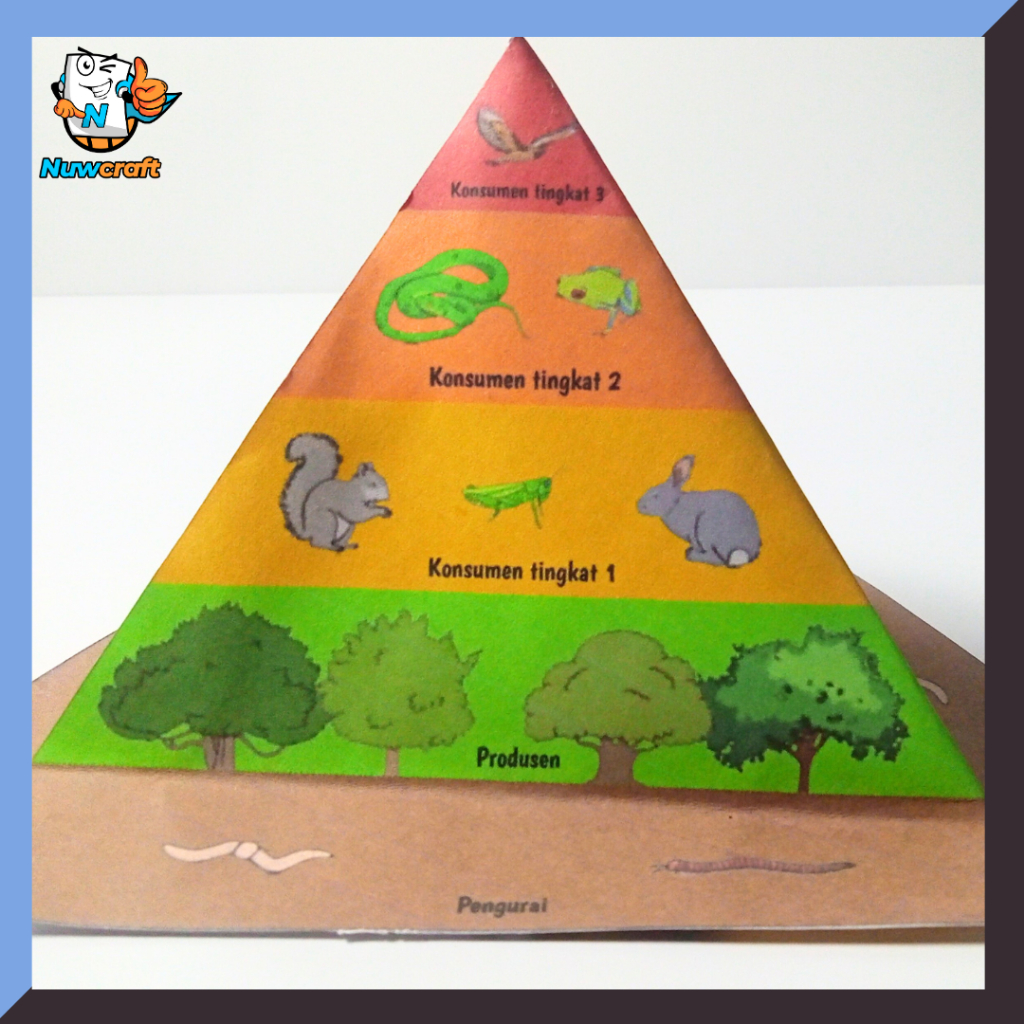 Jual Nuwcraft Miniatur Piramida Rantai Makanan kerajinan papercraft ...