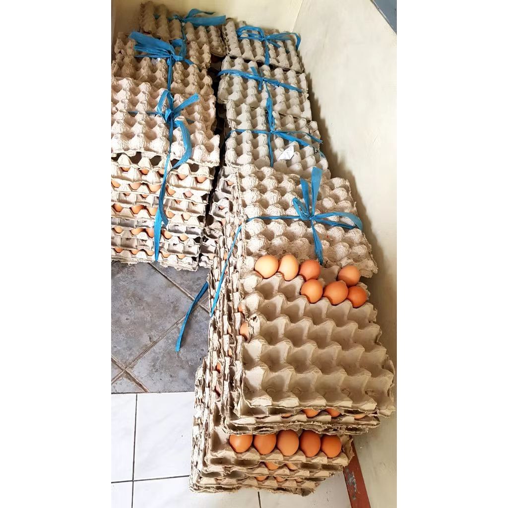 Jual Telur Ayam Negeri 1 Tray (Isi 30 Butir, 1800-1900gram) | Shopee ...