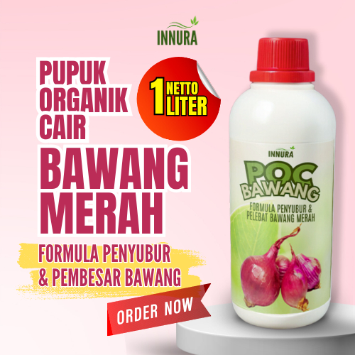 Jual Pupuk Cair Booster Pembesar Umbi Bawang Merah Penyubur Daun Bawang Pelebat Bawang ...