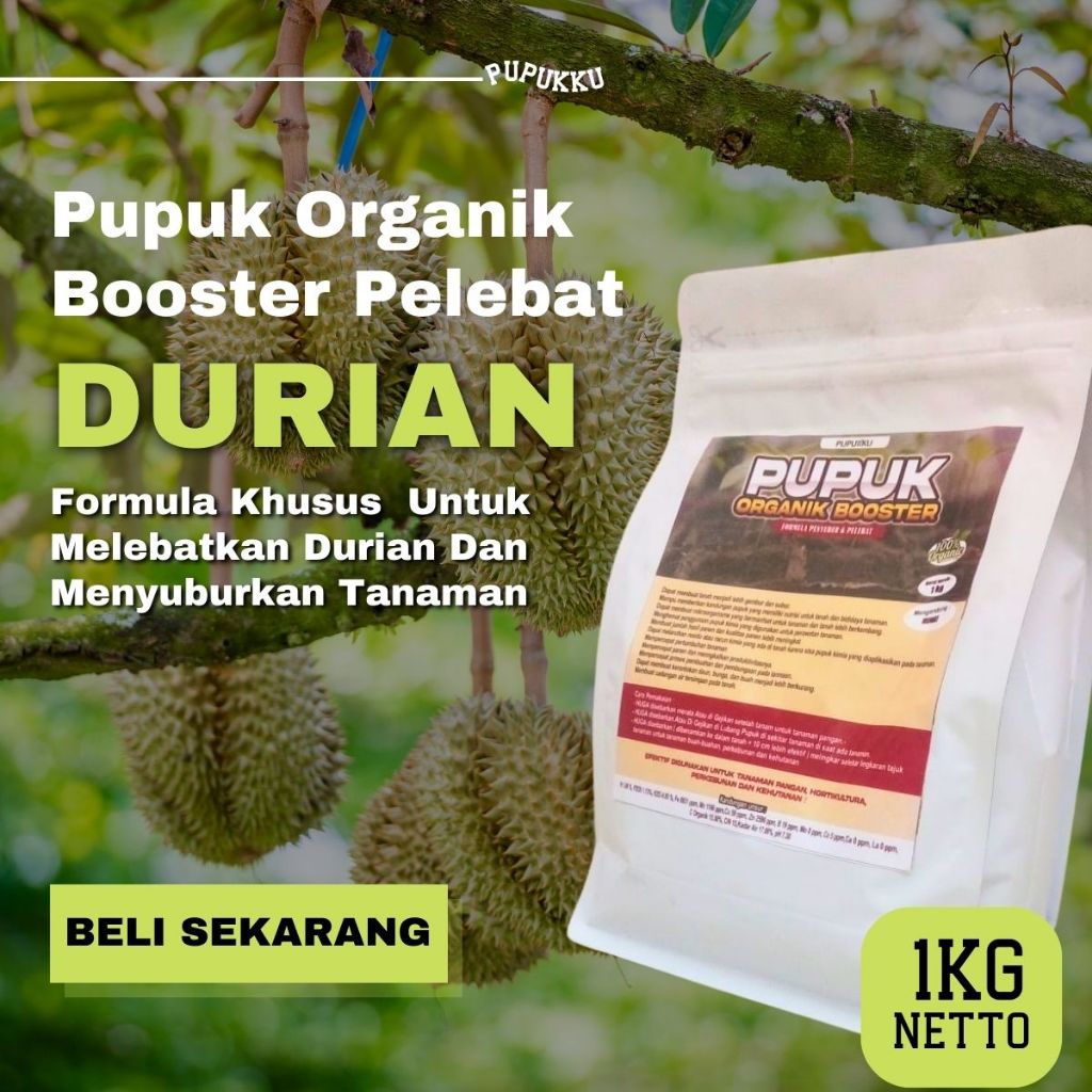 Jual Pupuk Durian Cepat Berbuah tidak rontok Booster Pelebat Buah Durian Pupuk Durian montong ...