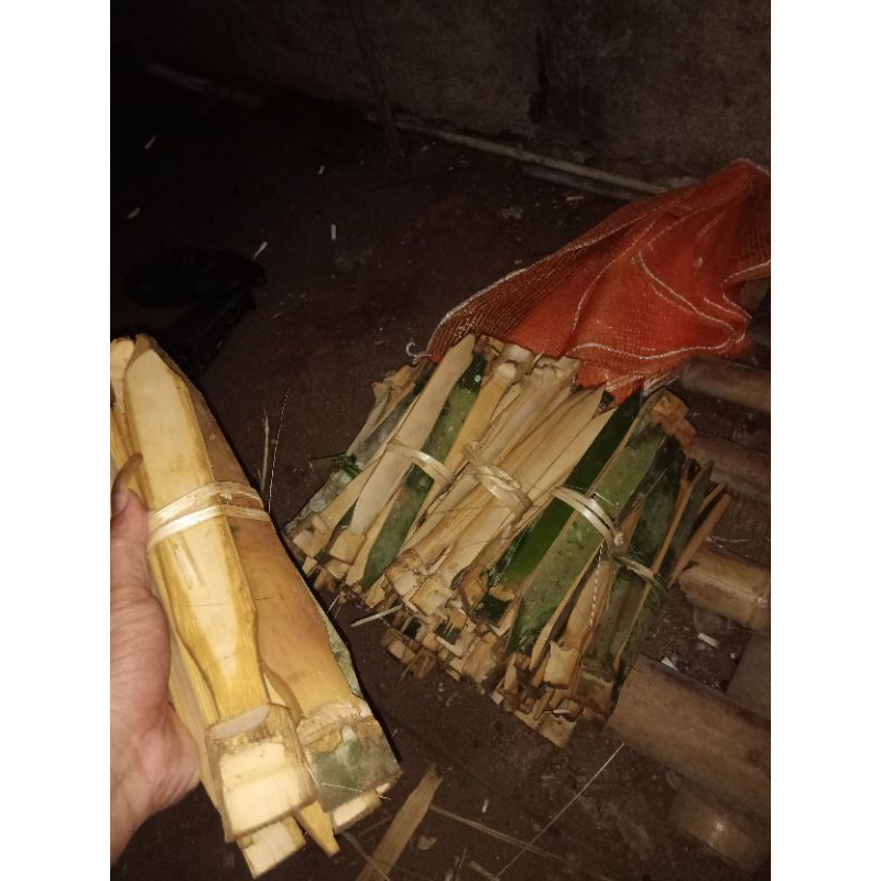 Jual patok bambu. | Shopee Indonesia