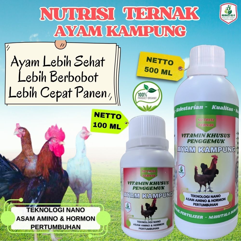 Jual Vitamin Obat Ayam Kampung Cepat Besar Obat Jamu Ayam Jawa Ayam ...