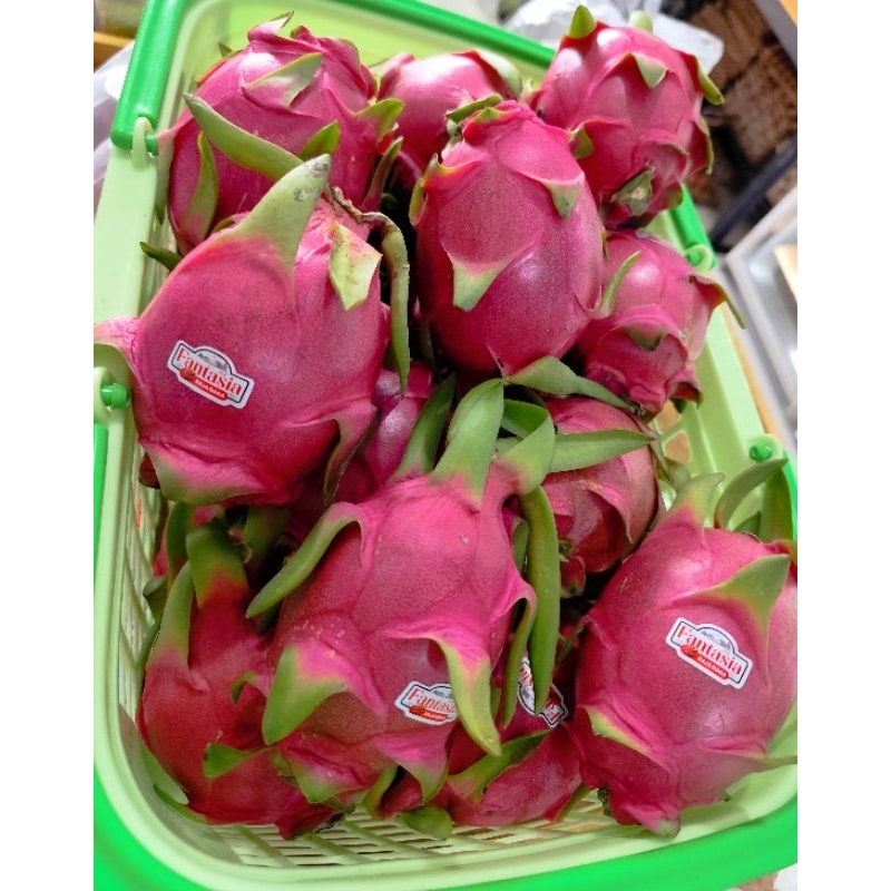 Jual Naga putih organik | Shopee Indonesia