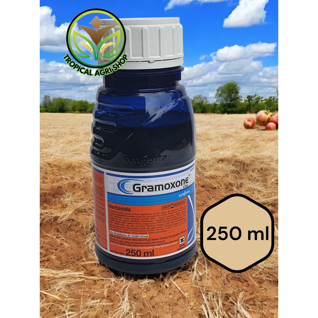 Jual GRAMOXONE 276 SL HERBISIDA RACUN RUMPUT & GULMA KEMASAN 250 ML ...