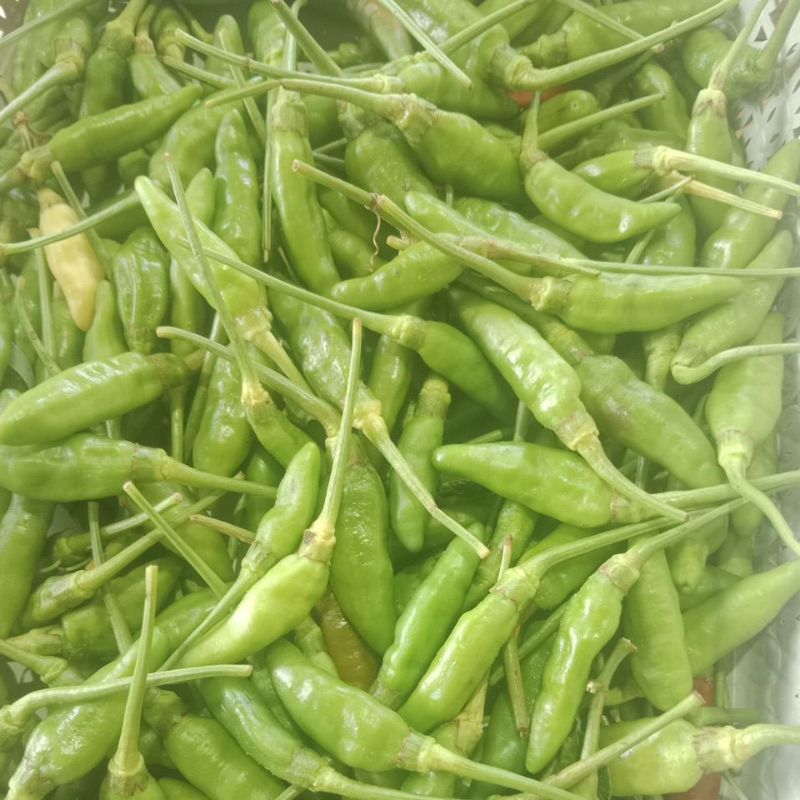 Jual cabe lokal ijo 1kg | Shopee Indonesia