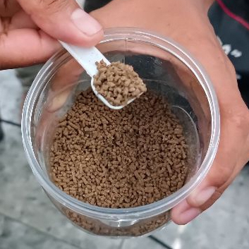 Jual Pelet Lobster Air Tawar 250 gram | Shopee Indonesia