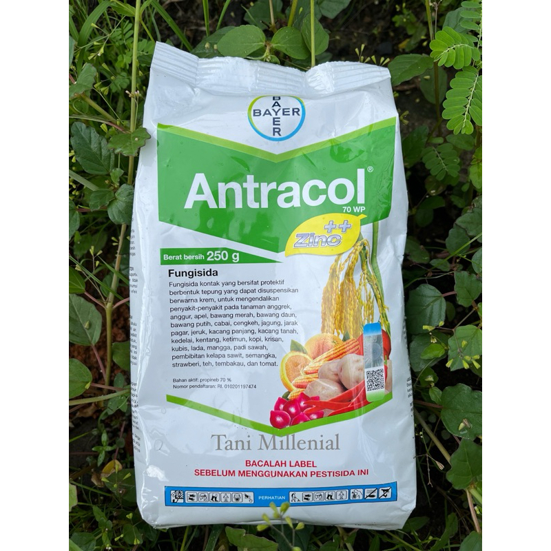 Jual Antracol Fungisida 250 gram | Shopee Indonesia