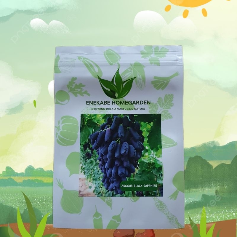 Jual 15 BUTIR BENIH ANGGUR BLACK SAPPHIRE (KEMASAN ORIGINAL) | Shopee ...