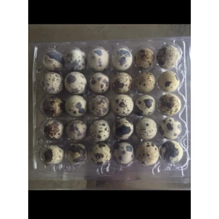 Jual Telur Puyuh Terlengkap & Harga Terbaru April 2025 | Shopee Indonesia