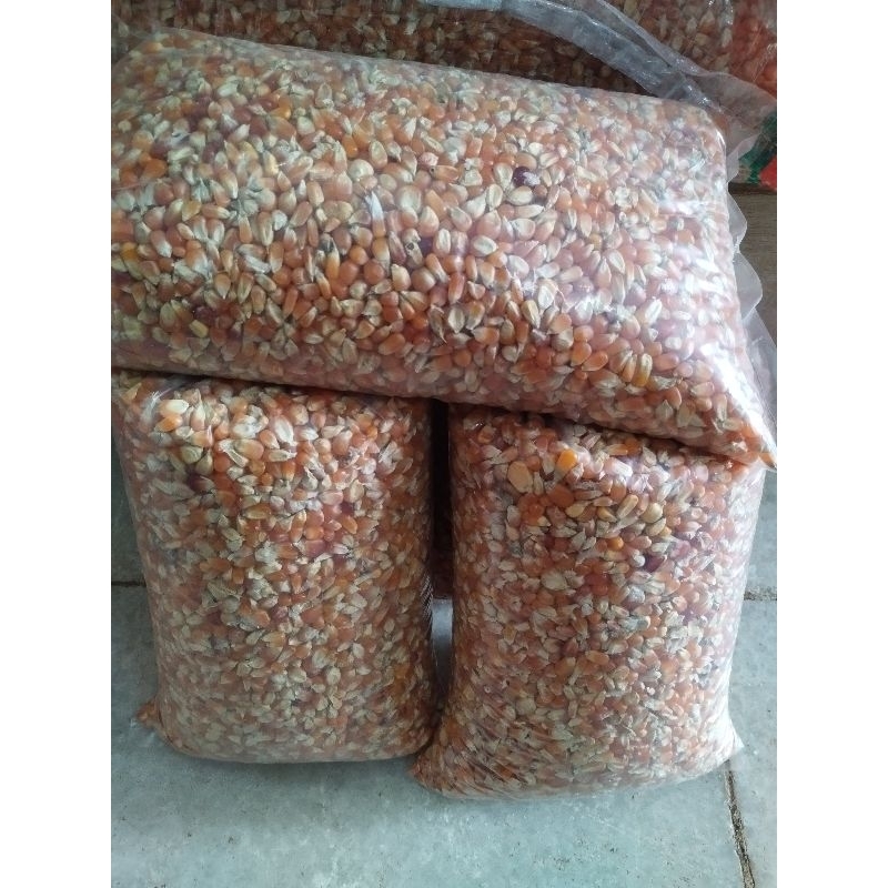 Jual jagung kristal pakan merpati 1kg | Shopee Indonesia