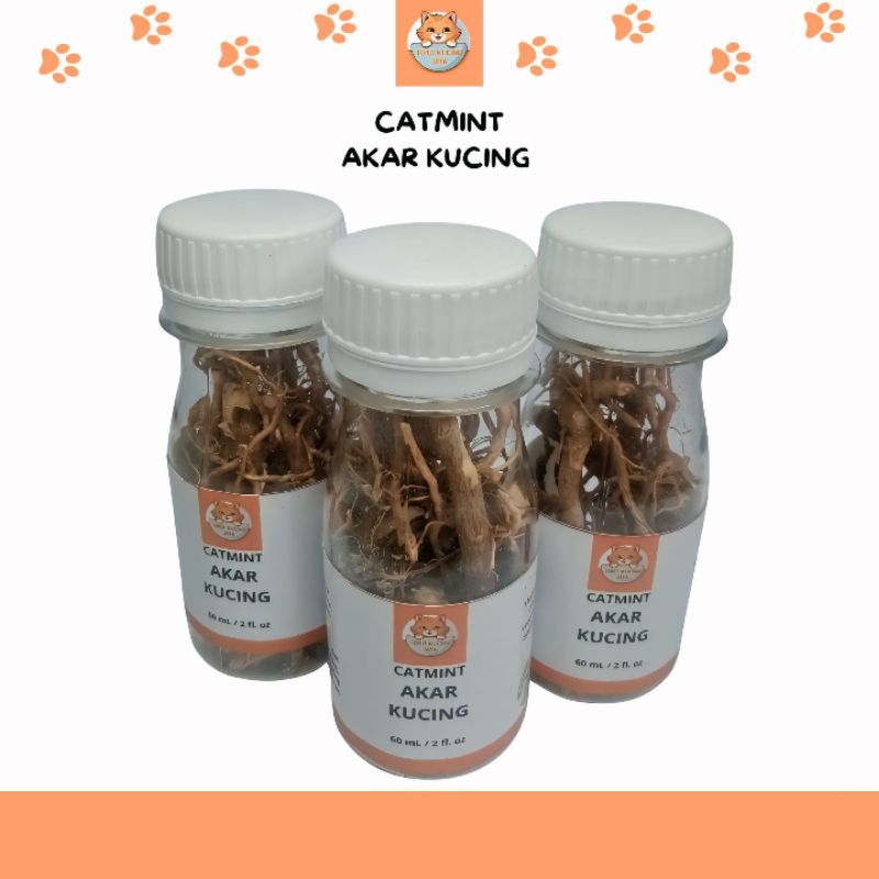 Jual Catnip/Catmint Akar Kucing (Acalypha Indica L) Mainan Alami Bikin ...