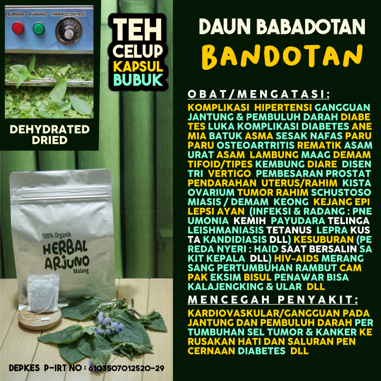 Jual Dehydrated Dried Teh Celup Kapsul Bubuk Daun Bandotan Babadotan ...