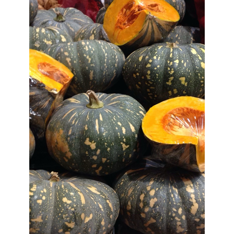 Jual bibit labu kuning | Shopee Indonesia