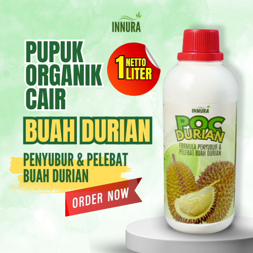 Jual Pupuk Booster Durian Pupuk Perangsang Buah Durian Supaya Cepat Berbuah Besar Pupuk Buah ...