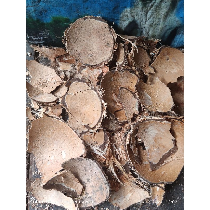 Jual ~Pecahan / Cacahan Batok Kelapa Kering~ | Shopee Indonesia